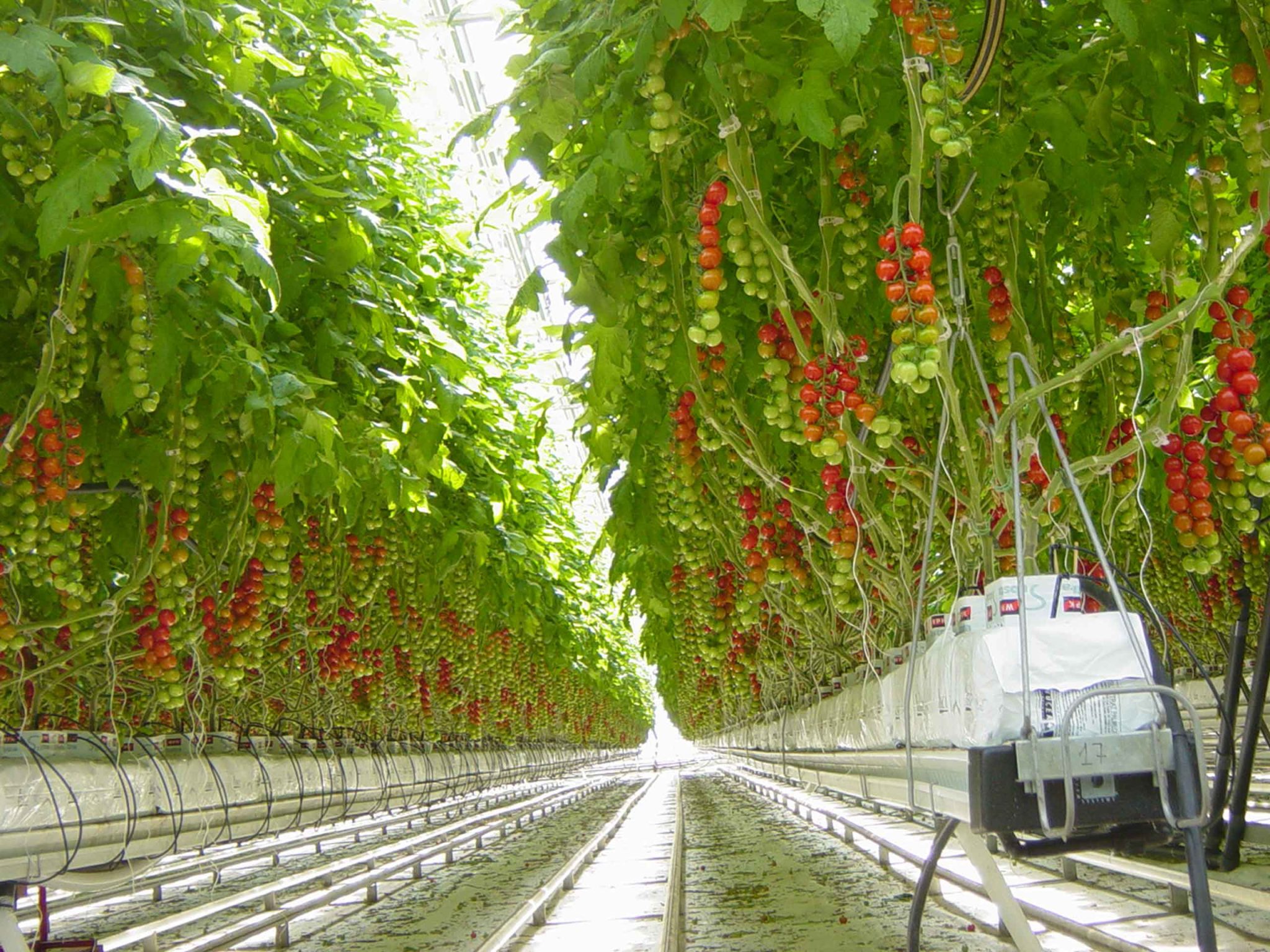 Tropicoir Lanka(PVT) Ltd.